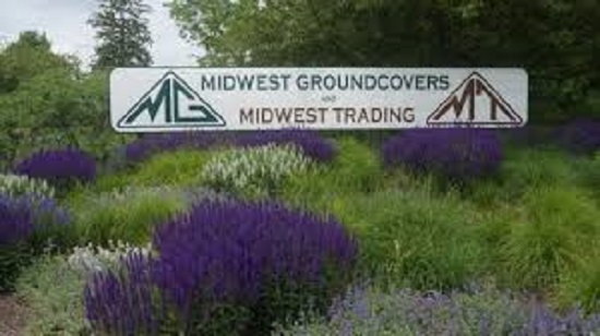Midwest Groundcovers - Midwest Groundcovers