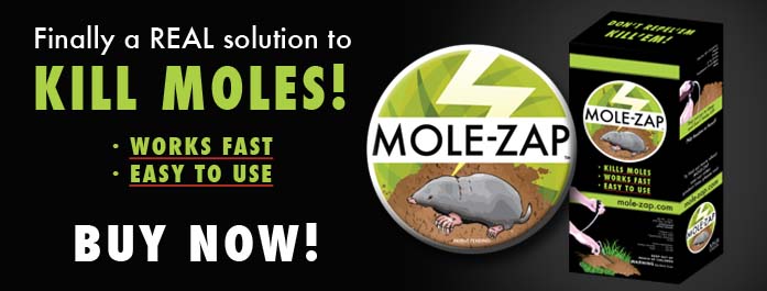 APGR Green (Mole-Zap) - APGR Green -- Mole-Zap