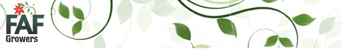Five Acre Farm (FAF Growers) - Five Acre Farm Greenhouses (FAF Growers)