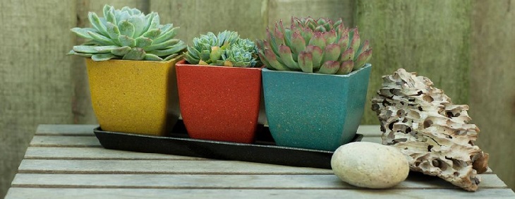 EcoForms