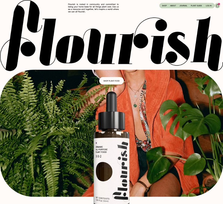 Flourish Plant
