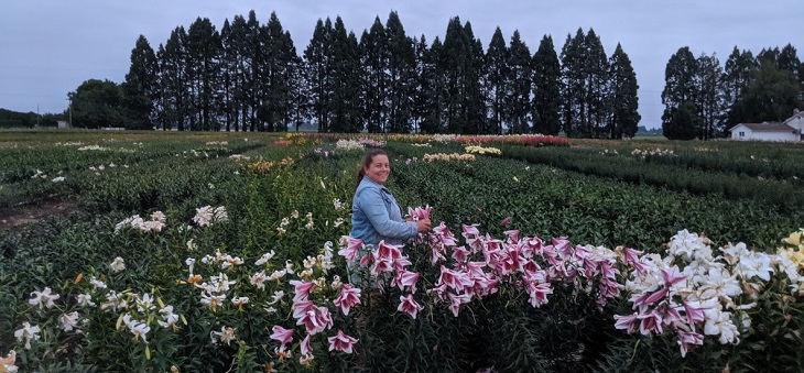 Mak Lilies & Perennials