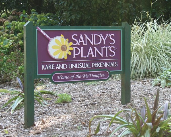 Sandy's Plants - Sandy's Plants