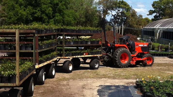 Three Volcanoes Farm - Three Volcanoes Farm -- Apopka, FL