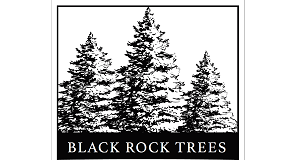 Black Rock Trees