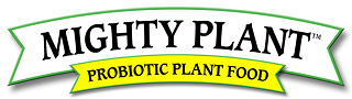 Mighty Plant