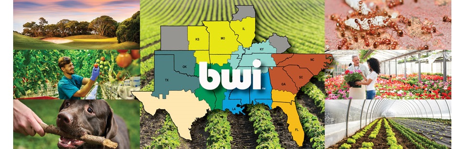 BWI Companies