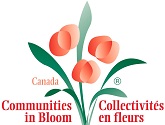 Communities in Bloom