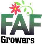 Five Acre Farm (FAF Growers)