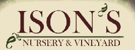 Ison's Nursery